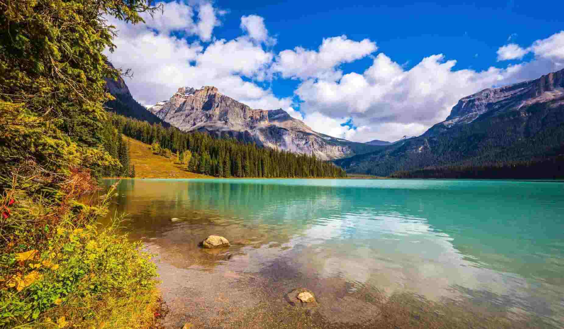 Case Study: Federation of Canadian Municipalities | Whitecap Canada